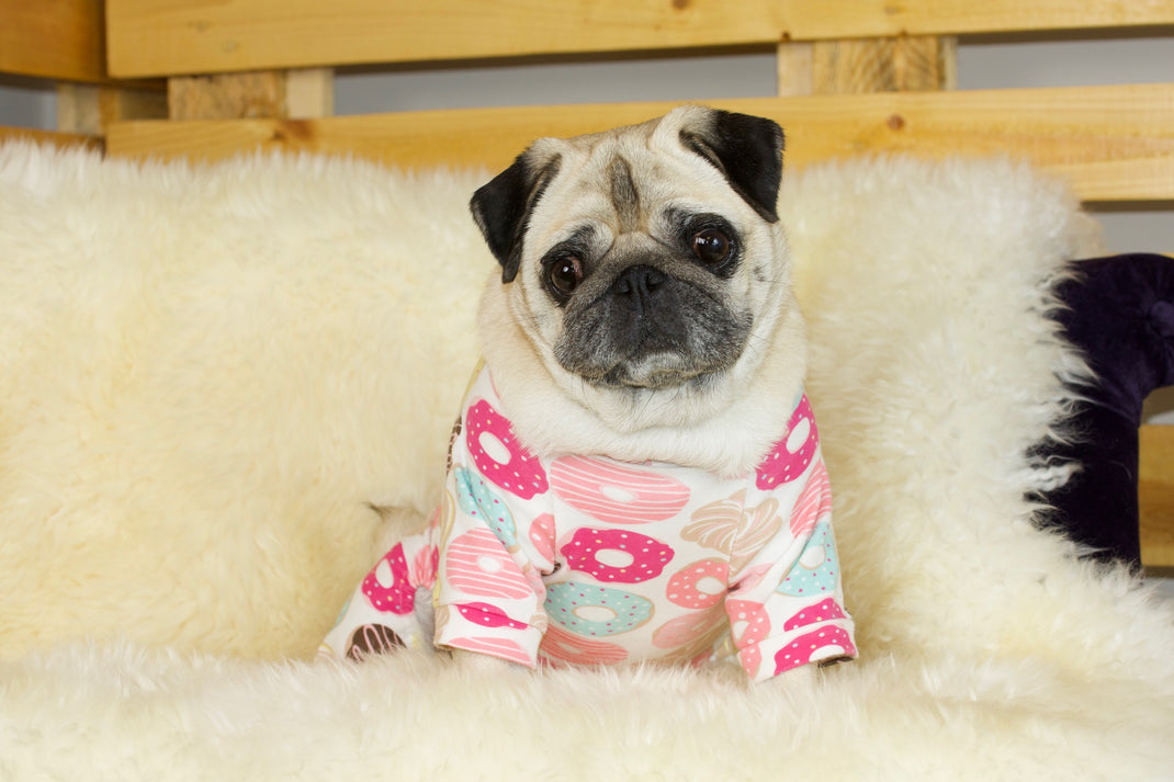 Pug Parties | Pug Lovin' Outfits and Costumes